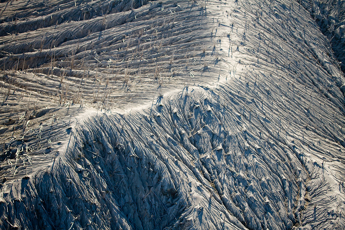 Contemplación de la naturaleza / Úrsula Hernández - LUVINA
