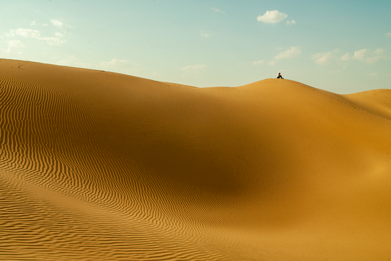 Los desiertos vivos de Bernardo De Niz / Víctor Ortiz Partida - LUVINA
